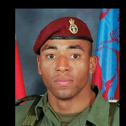 Lostrace-Database - Home